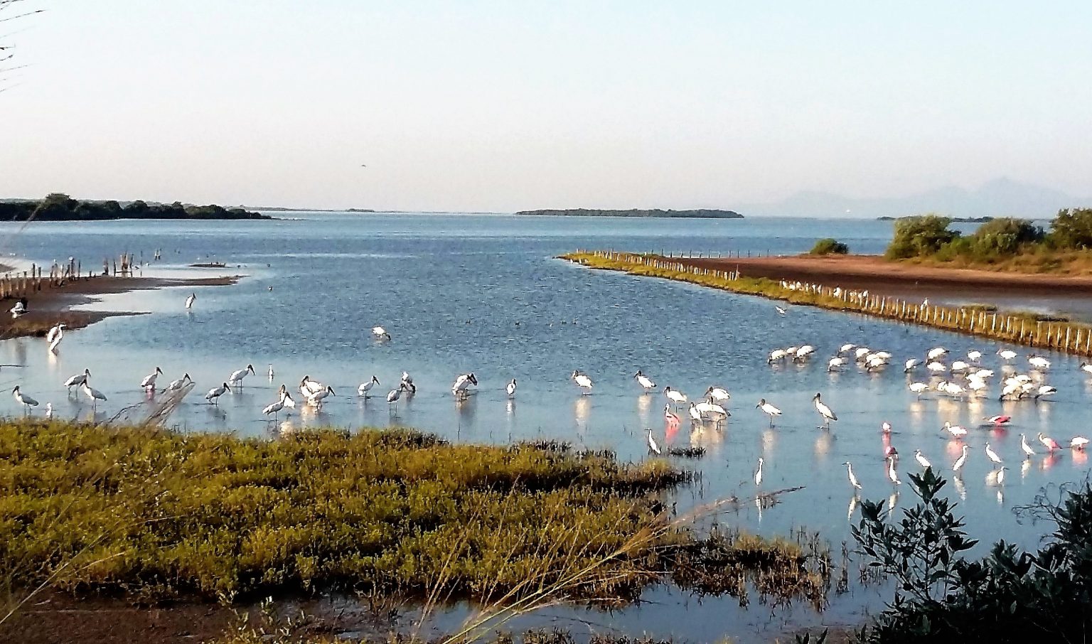Teacapan Paraiso natural de Sinaloa- Mazatlán Interactivo