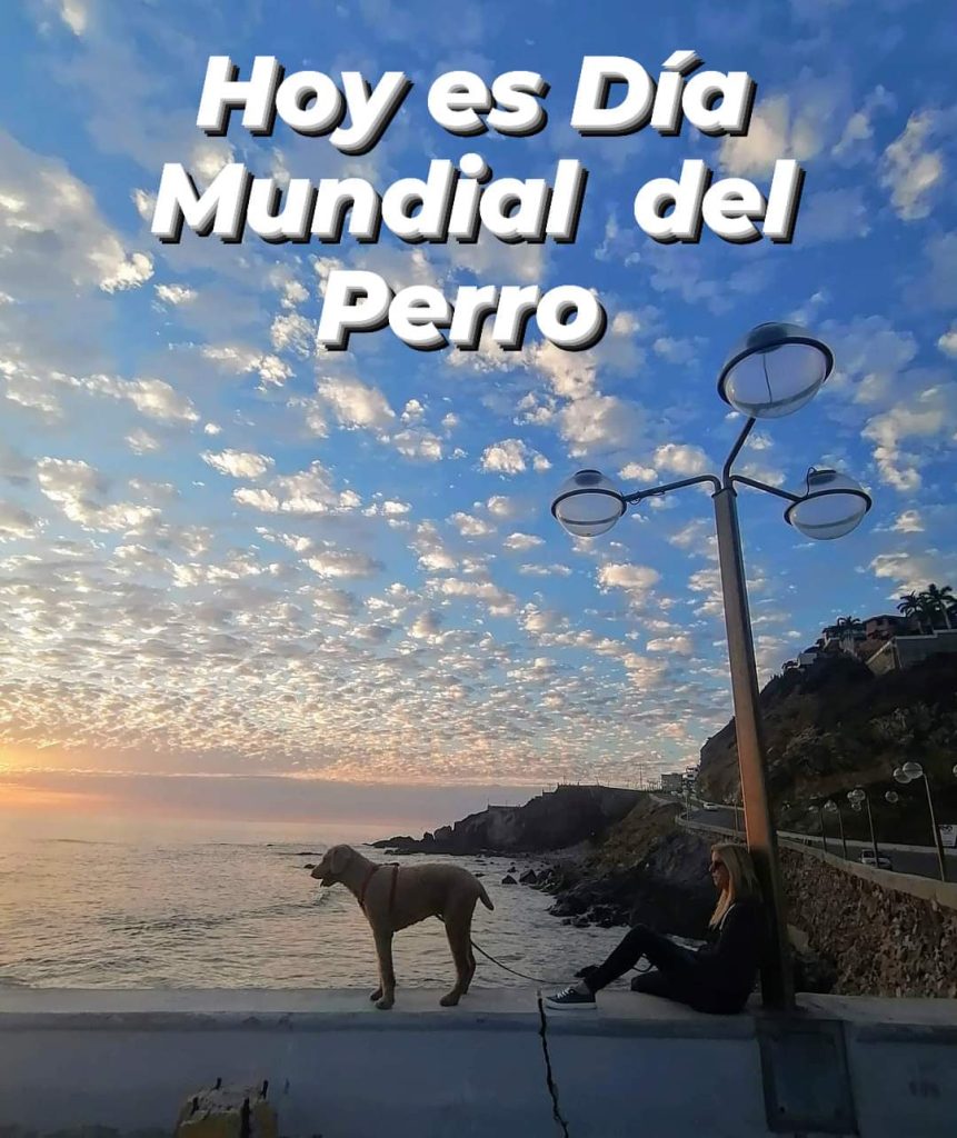 Día Mundial del Perro Se celebra: 21 de julio - Mazatlán Interactivo
