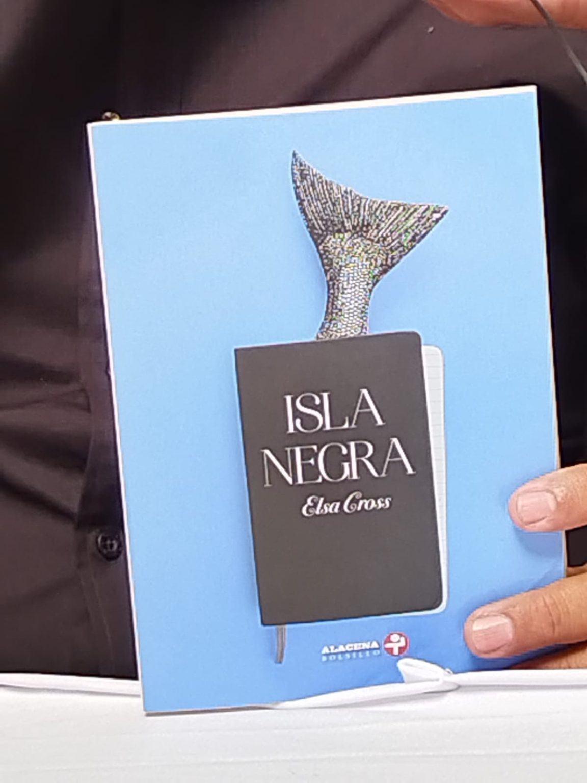 Isla Negra, libro de poesía de Elsa Cross, gana el Premio Mazatlán de ...