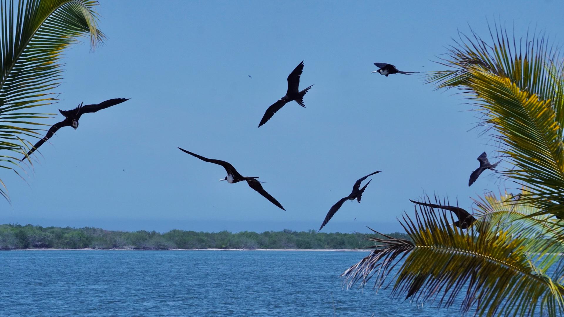 Promueve Sectur las bellezas naturales del sur de Sinaloa- Mazatlán ...